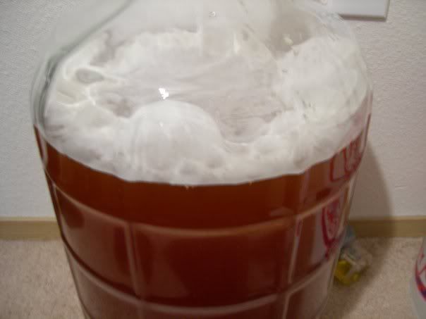 Contaminated? Spoiled? You decide.. | Homebrew Talk - Beer, Wine, Mead, & Cider Brewing ...